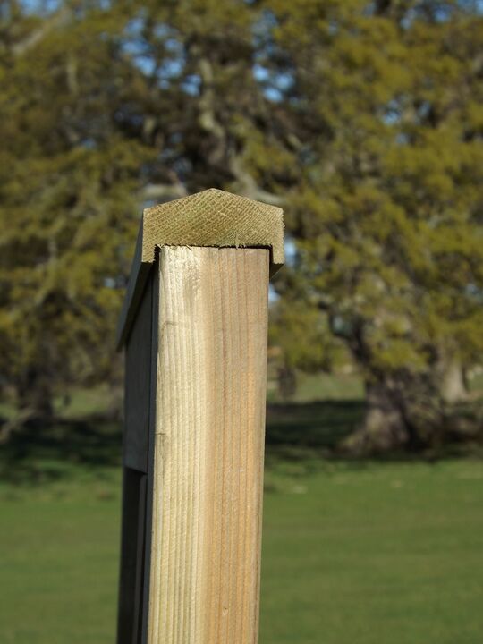 Featheredge Gate - Fully Framed | Products | Fountain Timber