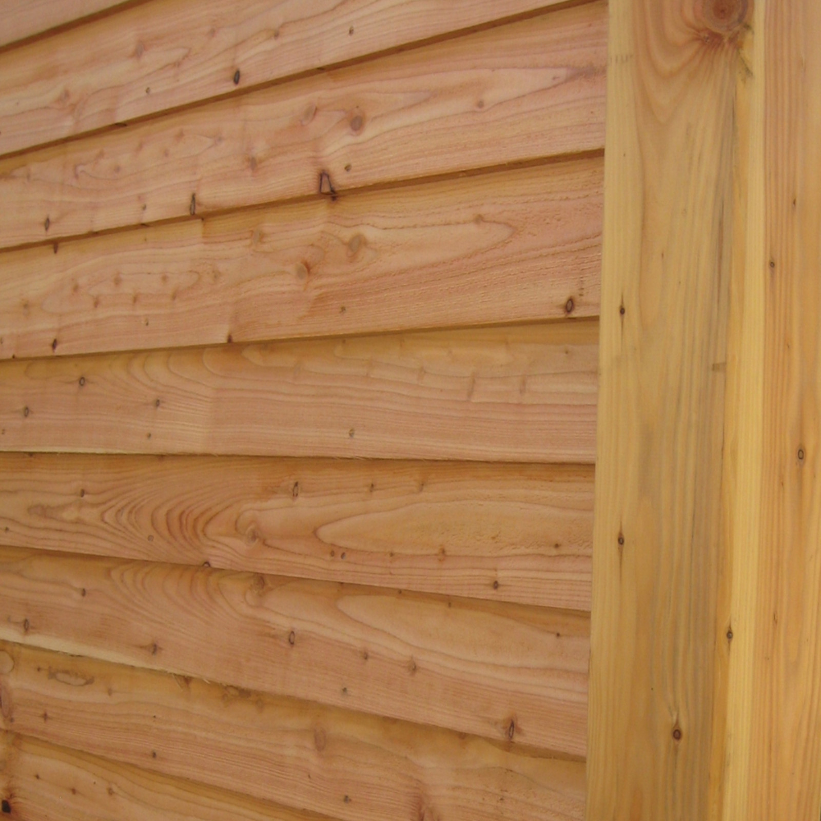 Feather Edge Timber Cladding Ubicaciondepersonas cdmx gob mx feather-edge-timber-cladding-ubicaciondepersonas-cdmx-gob-mx