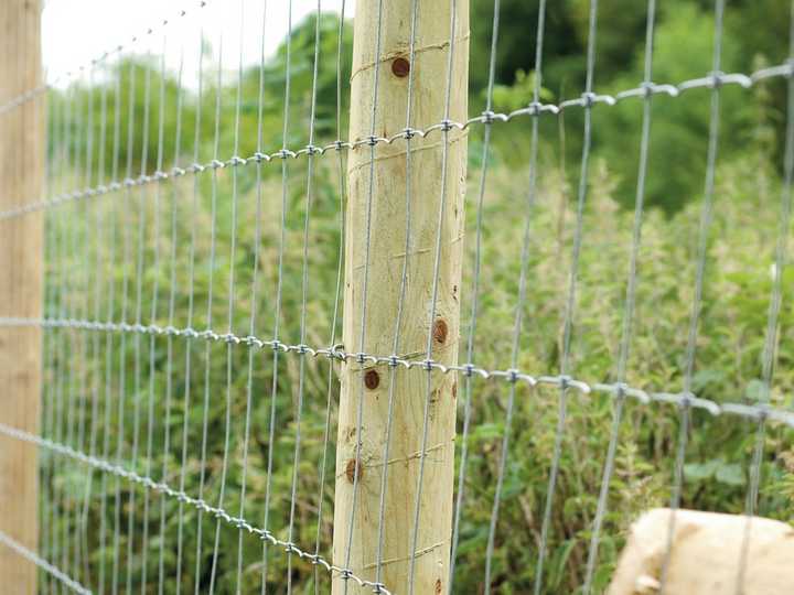 Wire, Stock Fencing & Netting | Products | Fountain Timber